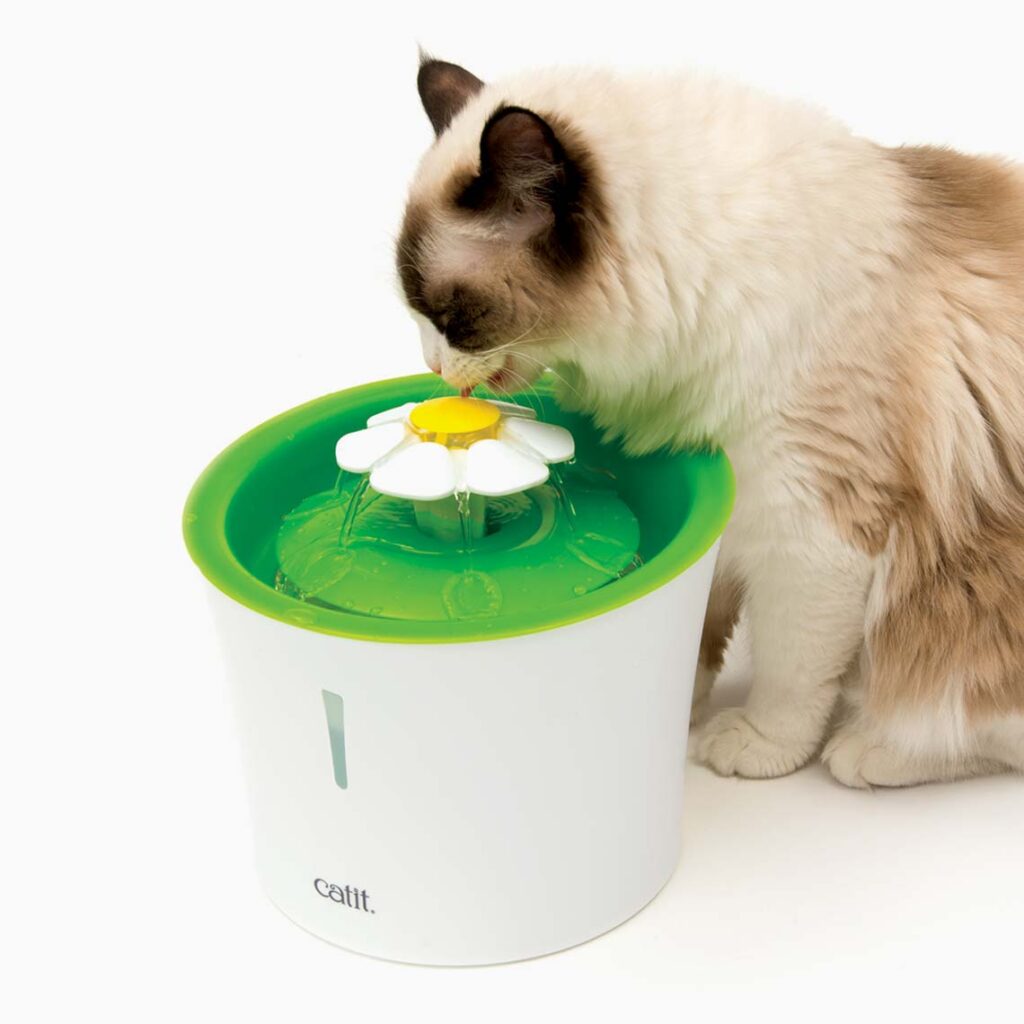 Catit India Online | Shop Cat Treats, Water Fountains, Smart Cat Toys